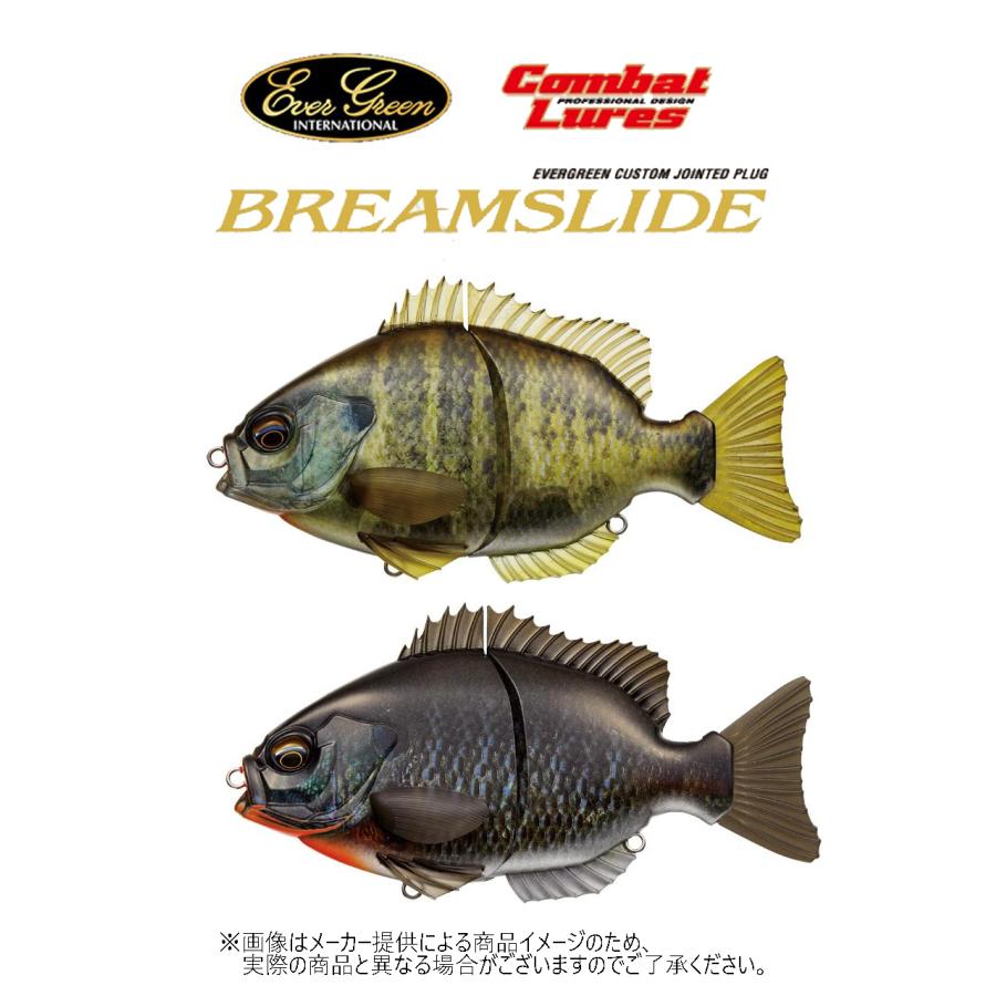 EverGreen EverGreen(エバーグリーン) BREAMSLIDE(ブリムスライド) 150mm (バス釣りルアー)- : 自然満喫屋 - 通販 - Yahoo!ショッピング