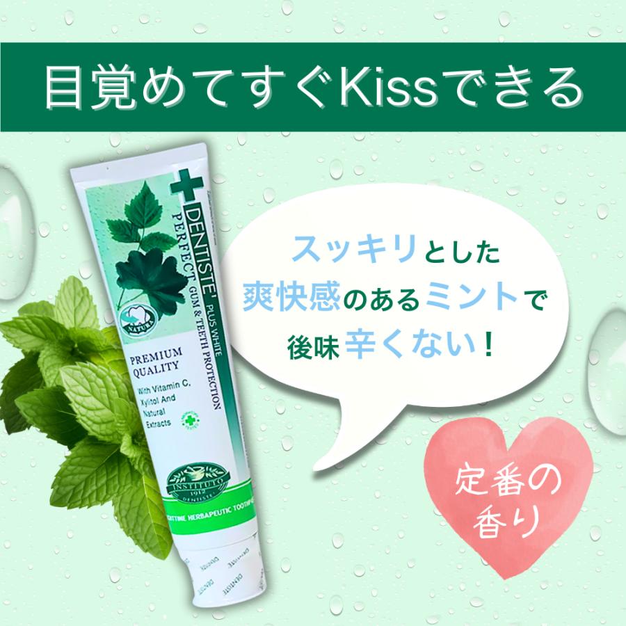 DENTISTE' デンティス 歯磨き粉 チューブ 160g 6本 口臭予防 ホワイトニング ミント 人気 歯みがき粉 DENTISTE ハミガキ コストコ 大容量 : シェアリングオンライン ...