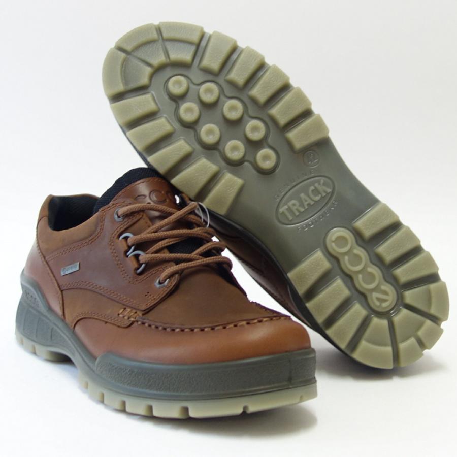 ecco（エコー） ECCO TRACK25 MENS LOWCUT GTX バイソン 831714 52600（メンズ）ゴアテックス内蔵 ...