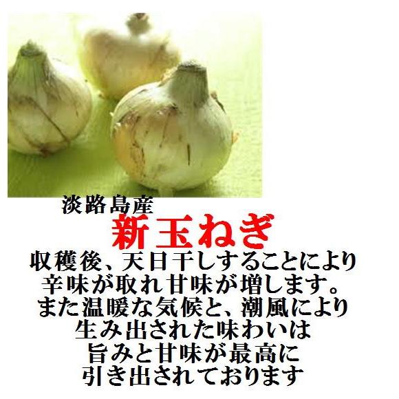 2024年度産 淡路の新玉ねぎ（L〜2L寸） 1箱4kg : 2024021401 : 食 くらし ヤフー店 - 通販 - Yahoo!ショッピング