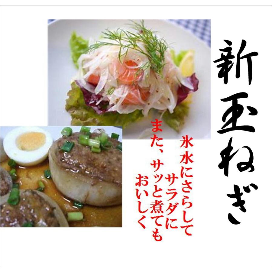 2024年度産 淡路の新玉ねぎ（L〜2L寸） 1箱2kg : 2024022301 : 食 くらし ヤフー店 - 通販 - Yahoo!ショッピング