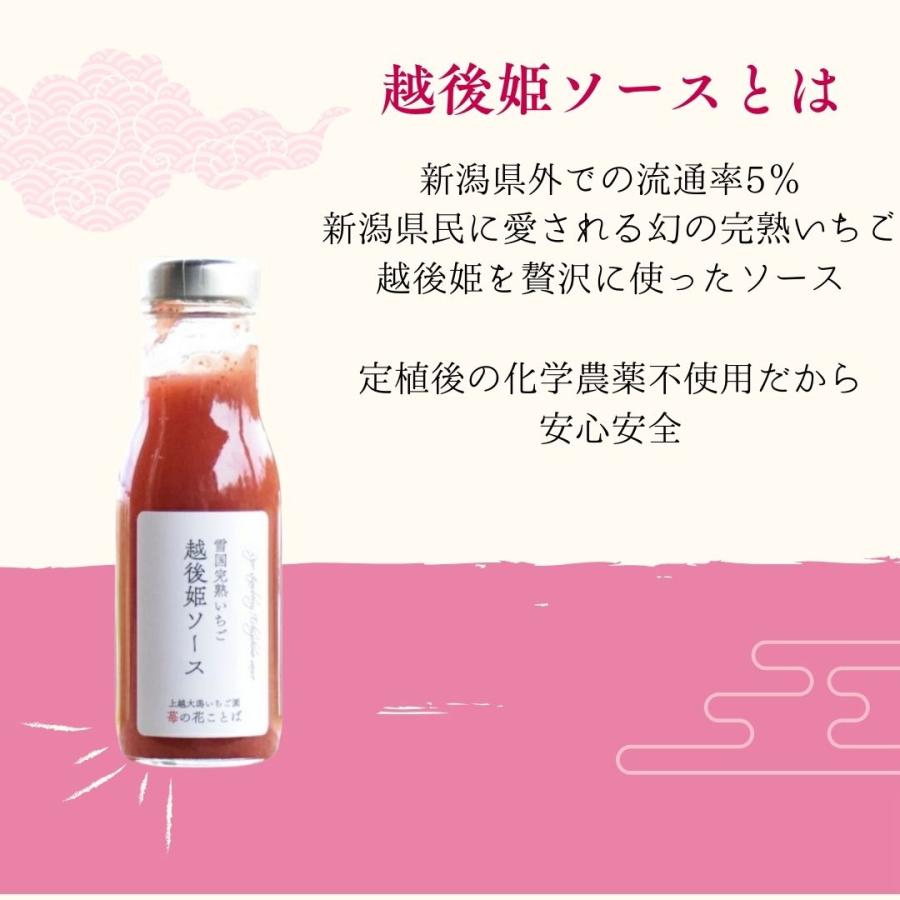 越後姫ソース 290g 新潟県産 皆が知らない日本の食宝 県外流通率5％ 幻の苺 いちご : gb201 : 皆が知らない日本の食宝 - 通販 - Yahoo!ショッピング