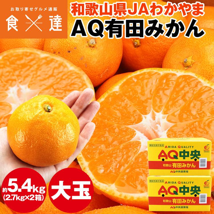 有田みかん 5.4kg (2.7kg×2箱) 大玉 2Lサイズ 和歌山県産 みかん ミカン 蜜柑 常温便 同梱不可 指定日不可 : 食の達人 お取り寄せグルメ - 通販 - Yahoo!ショッピング