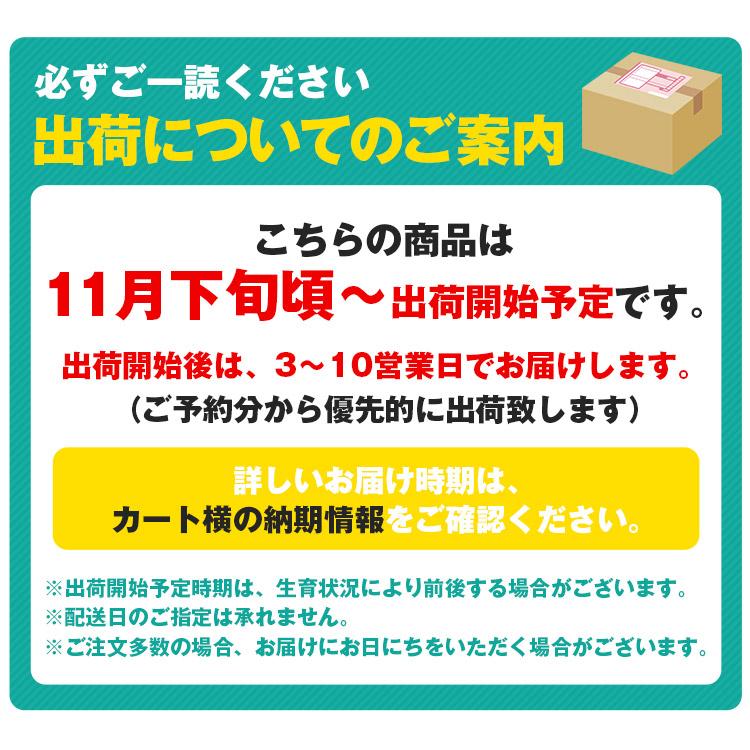 有田みかん 5.4kg (2.7kg×2箱) 大玉 2Lサイズ 和歌山県産 みかん ミカン 蜜柑 常温便 同梱不可 指定日不可 : 食の達人 お取り寄せグルメ - 通販 - Yahoo!ショッピング