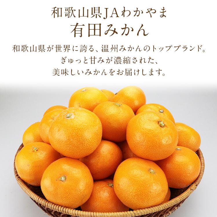 有田みかん 5.4kg (2.7kg×2箱) 大玉 2Lサイズ 和歌山県産 みかん ミカン 蜜柑 常温便 同梱不可 指定日不可 : 食の達人 お取り寄せグルメ - 通販 - Yahoo!ショッピング