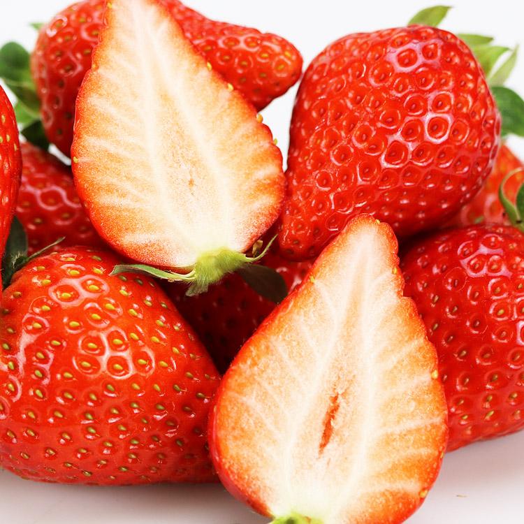 いちご ギフト 秀品 520g (260g×2パック) 岡山県産 晴苺 かおりの 章姫 ゆめのか よつぼし 贈答 じゃらん イチゴ 苺 冷蔵便 同梱不可 産直 : ocnw-022 : 食の ...