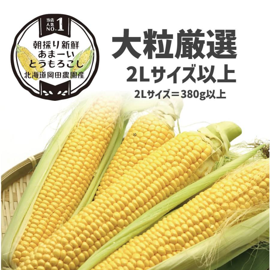 お中元 とうもろこし 北海道産 ゴールドラッシュ 2Lサイズ× 10本 (400g前後/本) 朝採り スイートコーン 七飯町 岡田農園 産地直送 送料無料 : 北海道の美味しいを日本全国へ ...