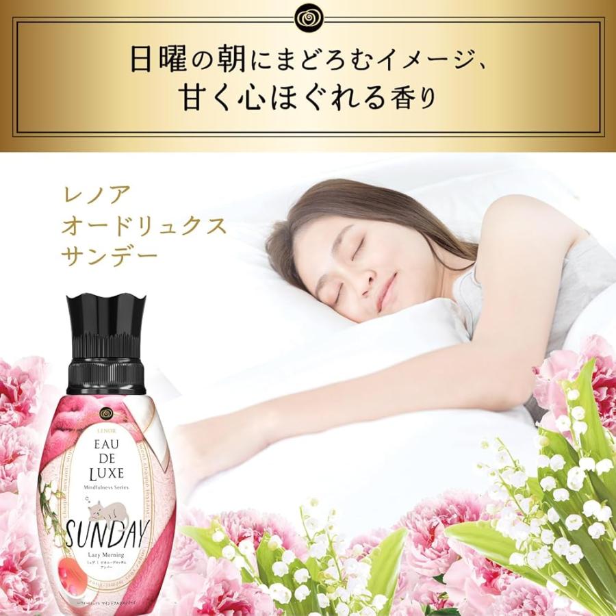 レノア オードリュクス 柔軟剤 マインドフルネスシリーズ サンデー 詰め替え 1360mL × 2個 : SHOP YPP ヤフー店 - 通販 - Yahoo!ショッピング