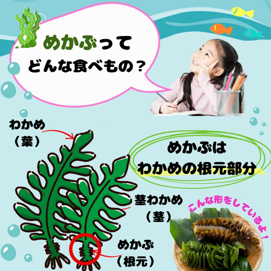昆布森 おしゃぶり芽かぶ 2種セット ノーマル 80g・梅味 75g 各1袋 : konbu-b0cj87gsz4-2 : 満ちるSHOP - 通販 - Yahoo!ショッピング