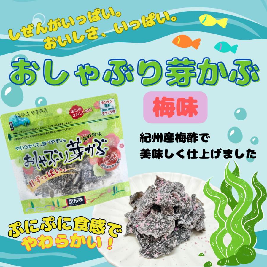 昆布森 おしゃぶり芽かぶ 2種セット ノーマル 80g・梅味 75g 各1袋 : konbu-b0cj87gsz4-2 : 満ちるSHOP - 通販 - Yahoo!ショッピング