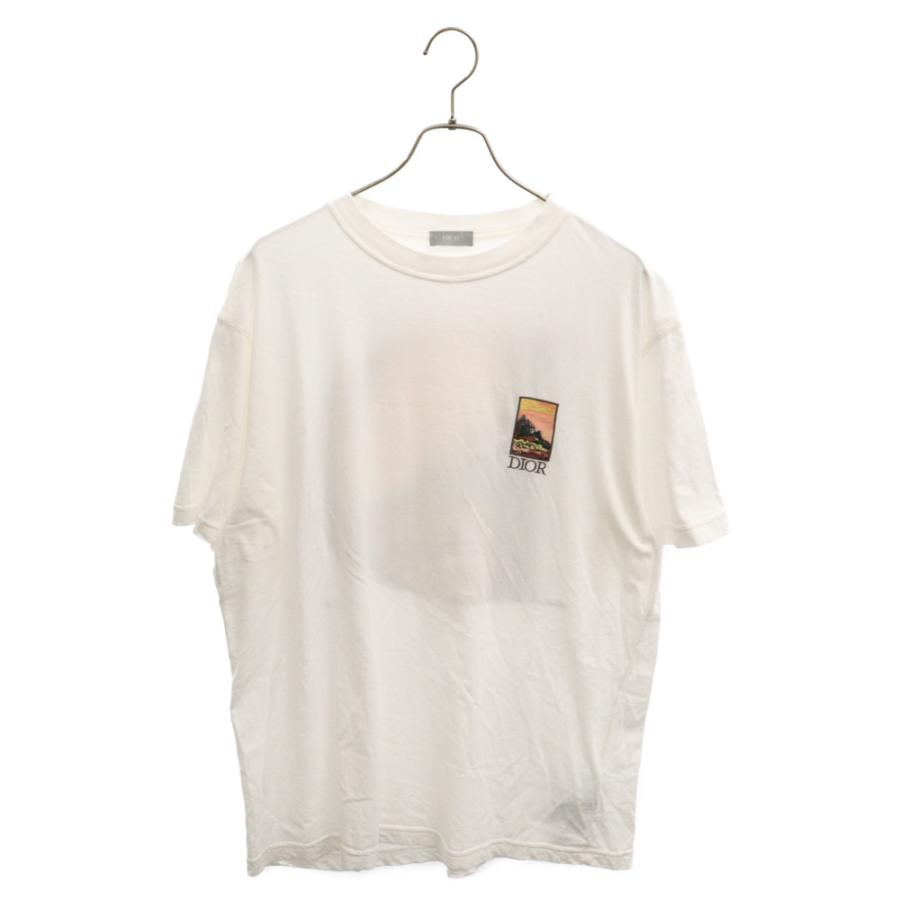 ディオール 22AW×トラヴィススコット カクタスジャック ディオール 22AW×トラヴィススコット カクタスジャック