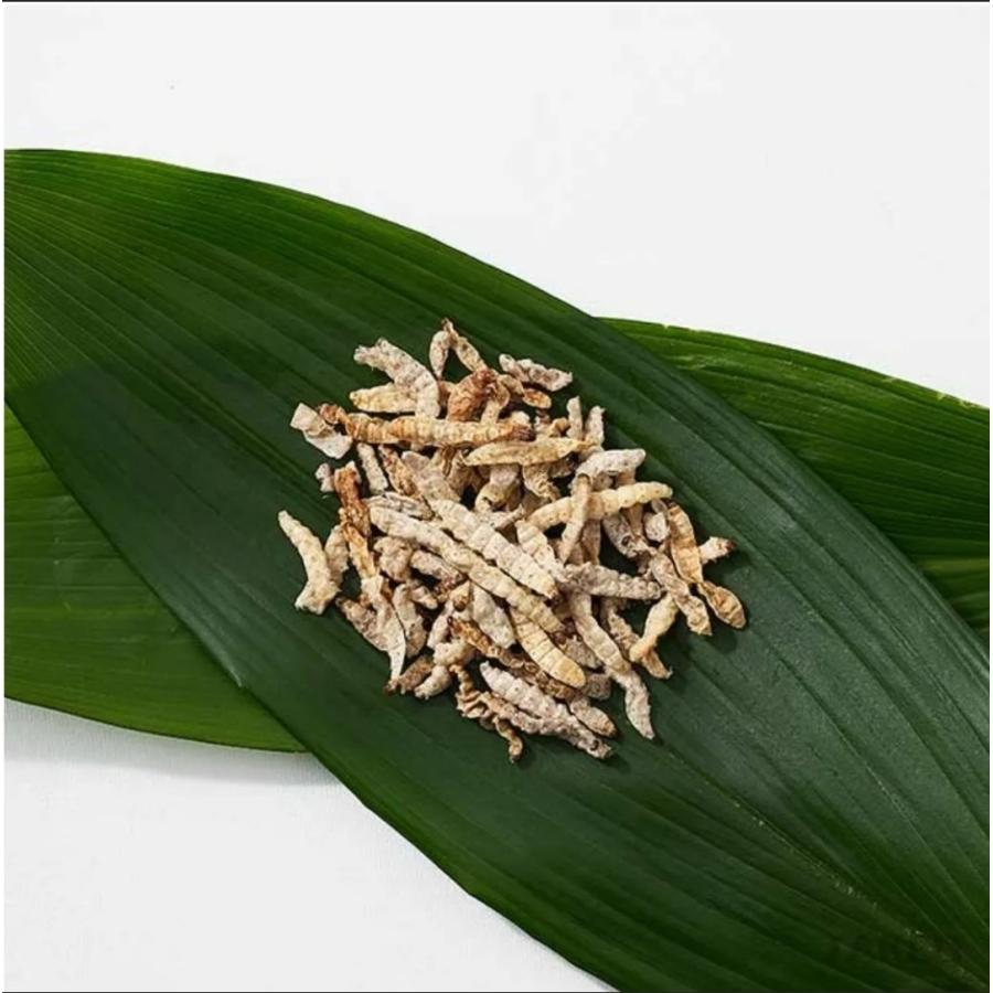 TAKEO 昆虫食 バンブーワーム（Omphisa fuscidentalis）10g おつまみ 珍味 罰ゲーム ドッキリ ゲテモノ イベント ...