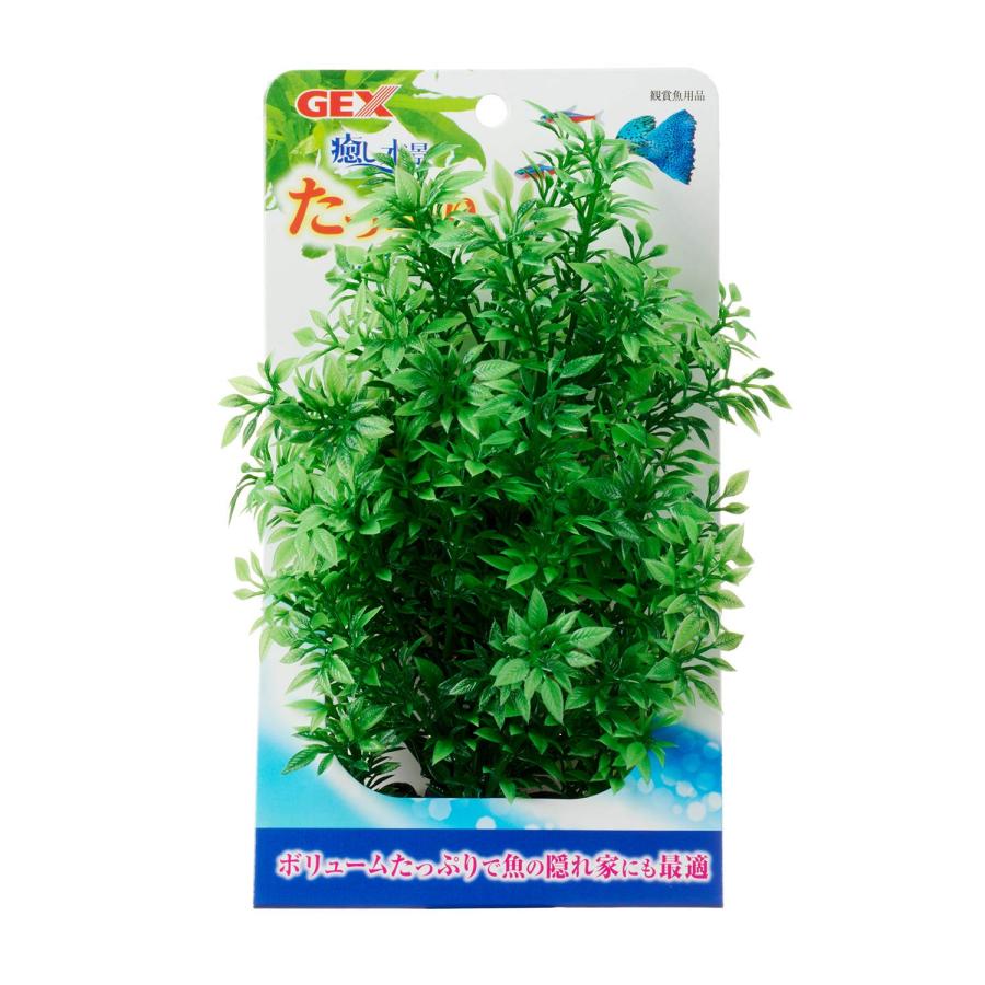 ジェックス GEX 癒し水景 たっぷりロタラ ボリューム 枯れない 人工プランツ お : SHOP EVERGREEN - 通販 - Yahoo!ショッピング