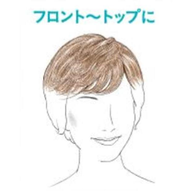 レオンカ SF-T305 エアリーシリーズ 部分ウィッグ : ショップループ - 通販 - Yahoo!ショッピング