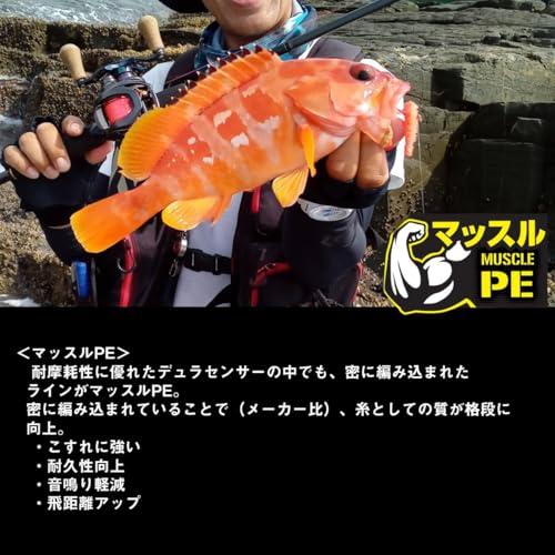 ダイワ(DAIWA) PEライン UVF PEデュラセンサーX4+Si2 1.2号 150m コーラルレッド : ショップマルチ - 通販 - Yahoo!ショッピング