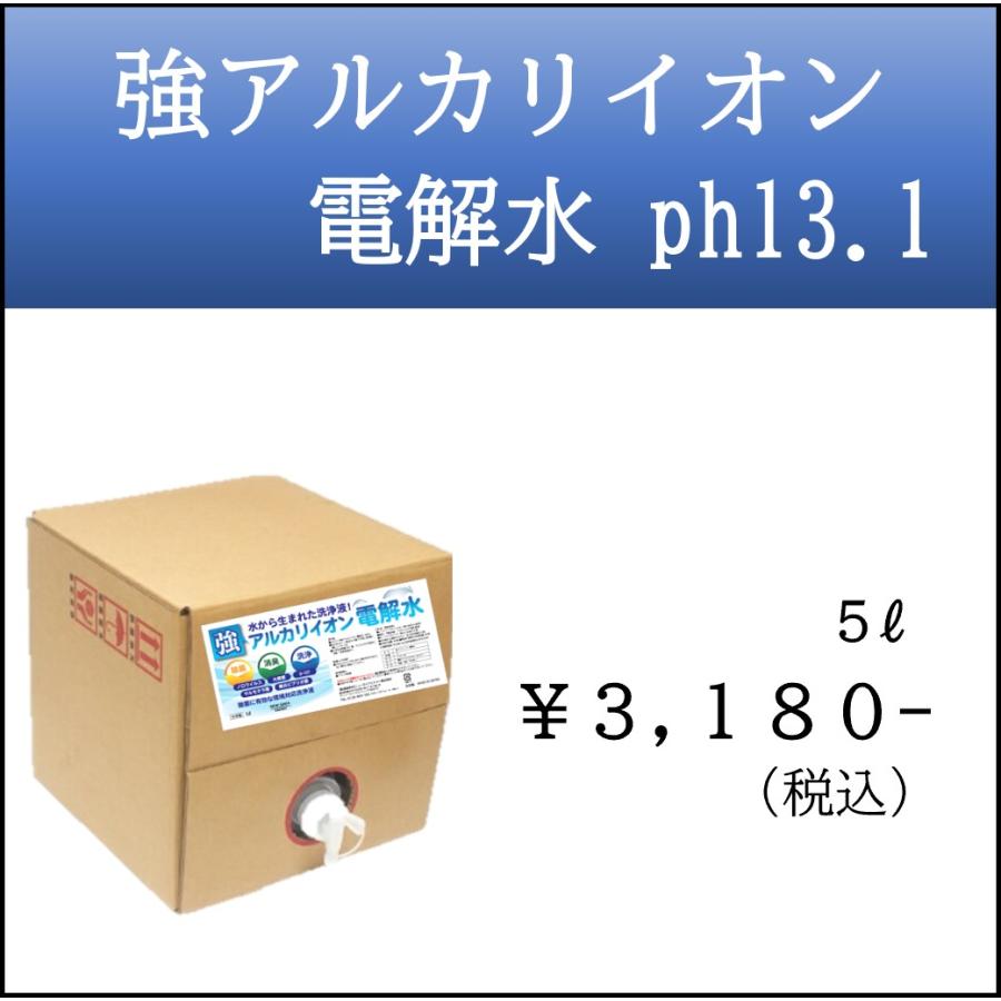 強アルカリイオン電解水 5L ph13.1 クリーナー 掃除 除菌 消臭 洗浄 水100% : NEW GAEA MOTORS - 通販 ...