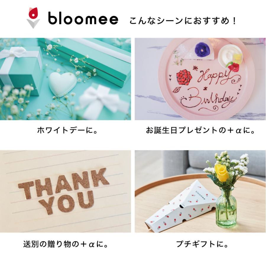 花 フラワー ブルーミー ギフト お花のギフトカード bloomee レギュラープラン お花が4本以上届く 1回お届け ブーケ 花束 40代 50代 60代 70代 : ギフト専門店 THE ...