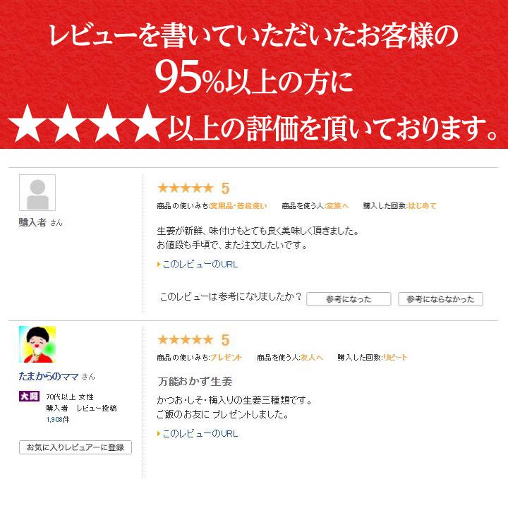 BIGサイズ うめぇ生姜（鰹・しそ・梅）240g 1本 : big-7833-1 : 生姜工房 - 通販 - Yahoo!ショッピング