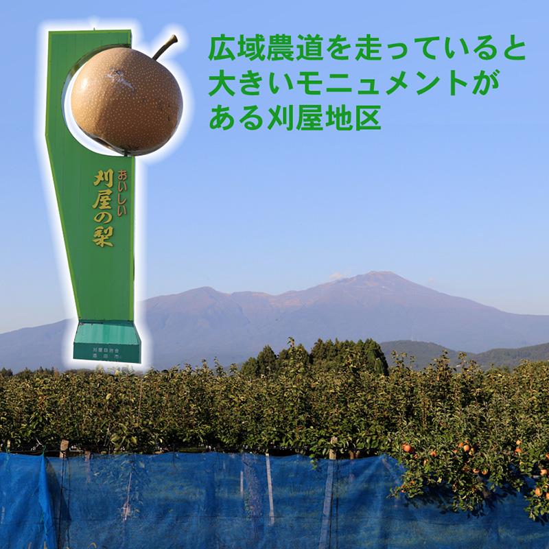 和梨 山形県酒田産刈屋なし 幸水 約3kg（6〜8玉入りおまかせ）8月下旬〜9月10日頃までお届け 贈答にも熨斗対応可能 送料無料 : 庄内いーものや - 通販 - Yahoo!ショッピング