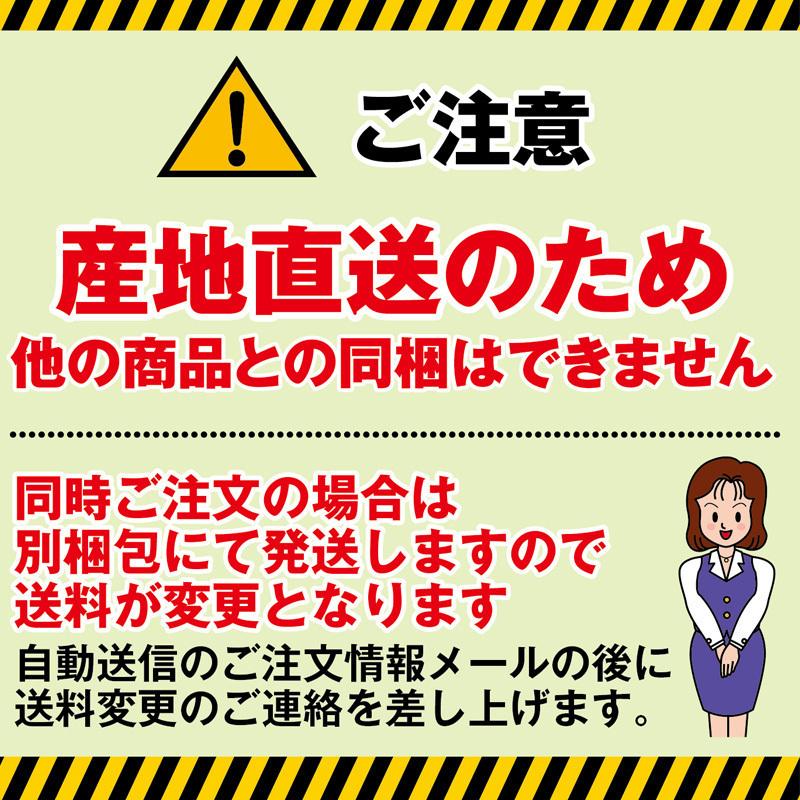 和梨 山形県酒田産刈屋なし 幸水 約3kg（6〜8玉入りおまかせ）8月下旬〜9月10日頃までお届け 贈答にも熨斗対応可能 送料無料 : 庄内いーものや - 通販 - Yahoo!ショッピング