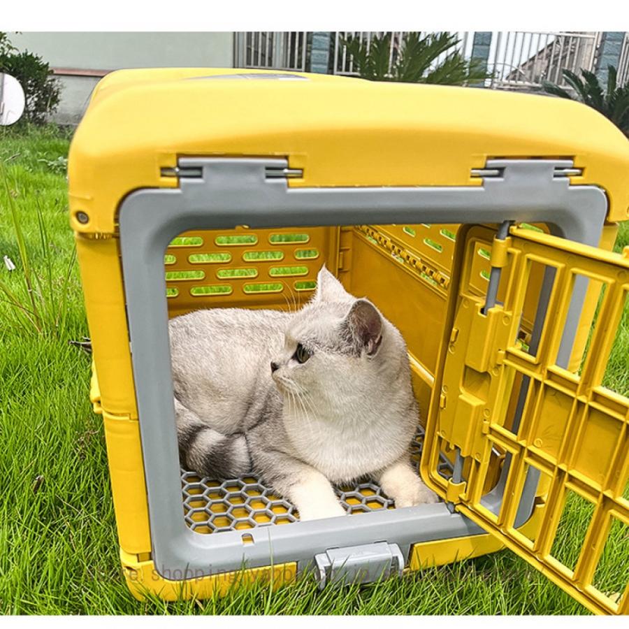 ペットキャリーケース 航空輸送ボックス ペットキャリーバッグ 猫 小型犬 小動物用 犬 クレート プラスチック製 車 電車 新幹線 飛行機対応 取っ手付き 頑丈 : f19-dx5 ...