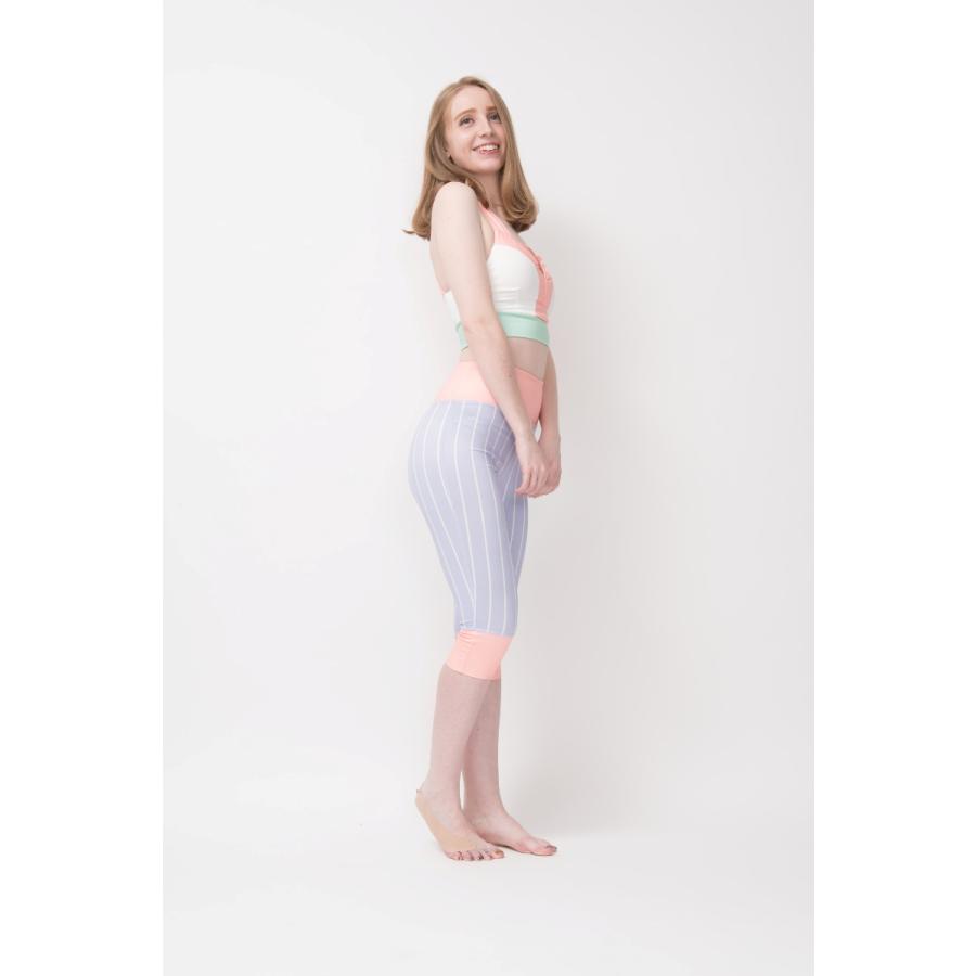 ヨガウェア*fayerie*フェイエリー カラーブロッキングレギンス : Shukuran Pet - 通販 - Yahoo!ショッピング