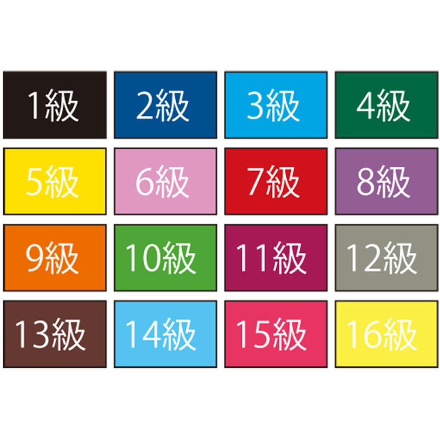 FOOTMARK フットマーク 級マーク 10枚入り 水泳 プール 水着 マーク グループ分け レベル分け 泳力マーク 水泳帽 スイムキャップ スイミングスクール カラーマ : SPORTS ...