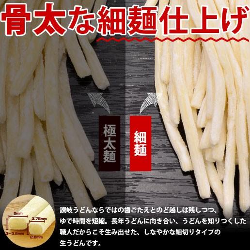 1000円ポッキリ うどん 讃岐うどん 送料無料 720g (240gx3袋) 約6人前 鎌田醤油 つゆ付き ポイント利用 お試し商品 サンプル hoso6tuyu : しあわせ製麺 - 通販 ...