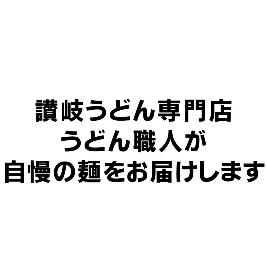 うどん 讃岐うどん 6人前 600g (300gx2袋) つゆ付き 送料無料 本場讃岐純生 太麺 ポイント利用 お試し商品 サンプル siawase6-tuyu : しあわせ製麺 - 通販 ...