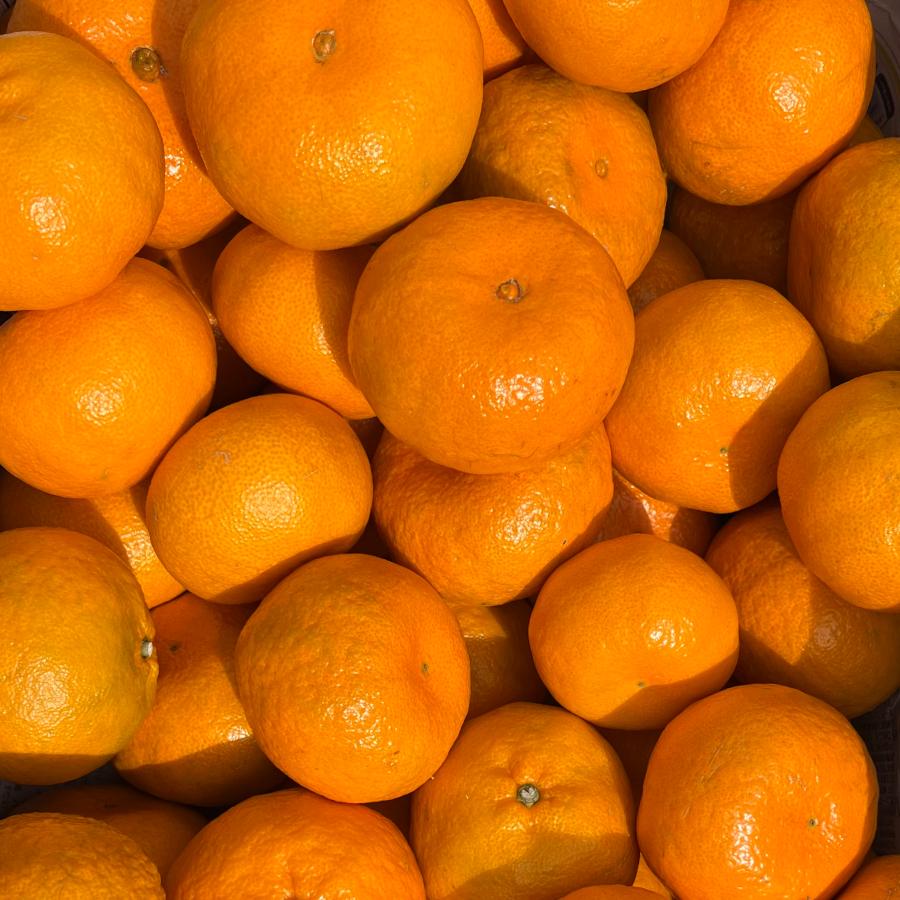 はやか M玉以上 約5kg : hayaka-5kg-m-3l : 呉の小さな農家 - 通販 - Yahoo!ショッピング