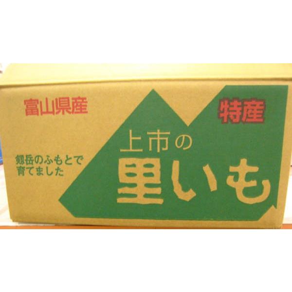 ネットリした上市の里芋 L5kg : 富山の清水ドットコム - 通販 - Yahoo!ショッピング
