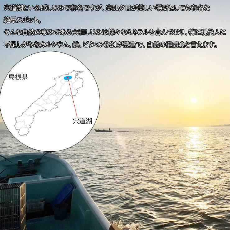 しじみ 冷凍 M 3Kg 宍道湖産 シジミ 砂抜き済み シジミ汁 しじみ汁 味噌汁 お吸い物 具 大和しじみ 国産 天然 健康 二日酔い 貝 漁師直送 新鮮 島根県 出雲 : ss011 ...