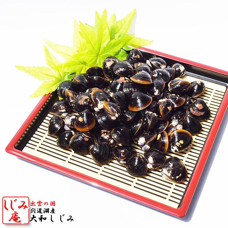 しじみ 冷凍 M 3Kg 宍道湖産 シジミ 砂抜き済み シジミ汁 しじみ汁 味噌汁 お吸い物 具 大和しじみ 国産 天然 健康 貝 漁師直送 新鮮 島根県 出雲 しじみ庵 : しじみ庵 ...