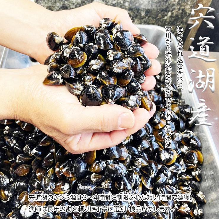 しじみ 冷凍 L 3Kg 宍道湖産 シジミ 砂抜き済み シジミ汁 しじみ汁 味噌汁 お吸い物 具 大和しじみ 国産 天然 健康 貝 漁師直送 新鮮 島根県 出雲 しじみ庵 : しじみ庵 ...