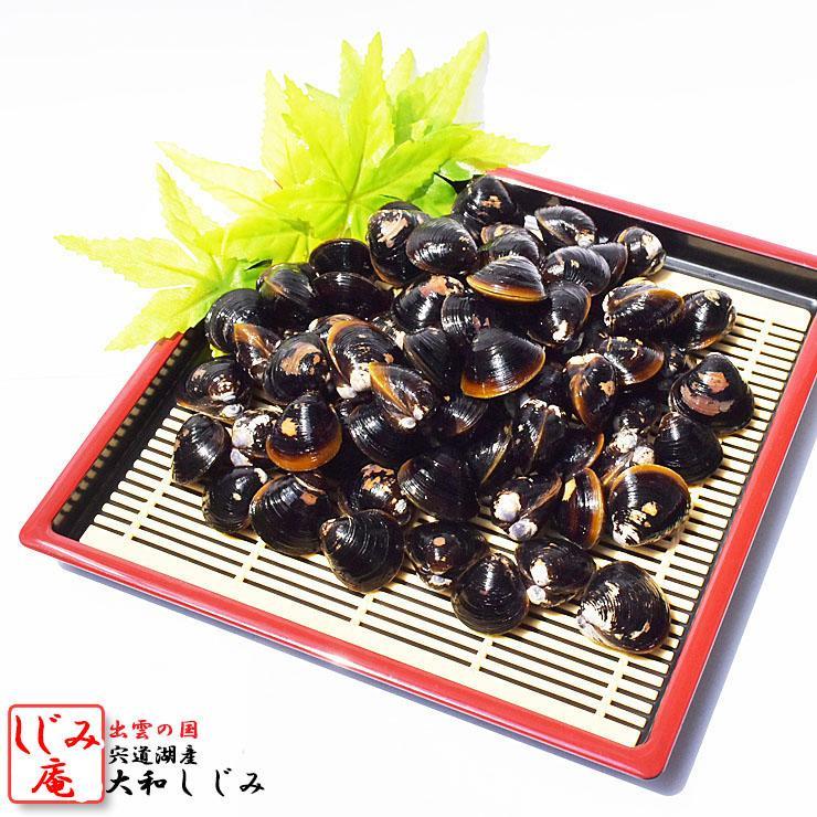 しじみ 冷凍 L 3Kg 宍道湖産 シジミ 砂抜き済み シジミ汁 しじみ汁 味噌汁 お吸い物 具 大和しじみ 国産 天然 健康 貝 漁師直送 新鮮 島根県 出雲 しじみ庵 : しじみ庵 ...