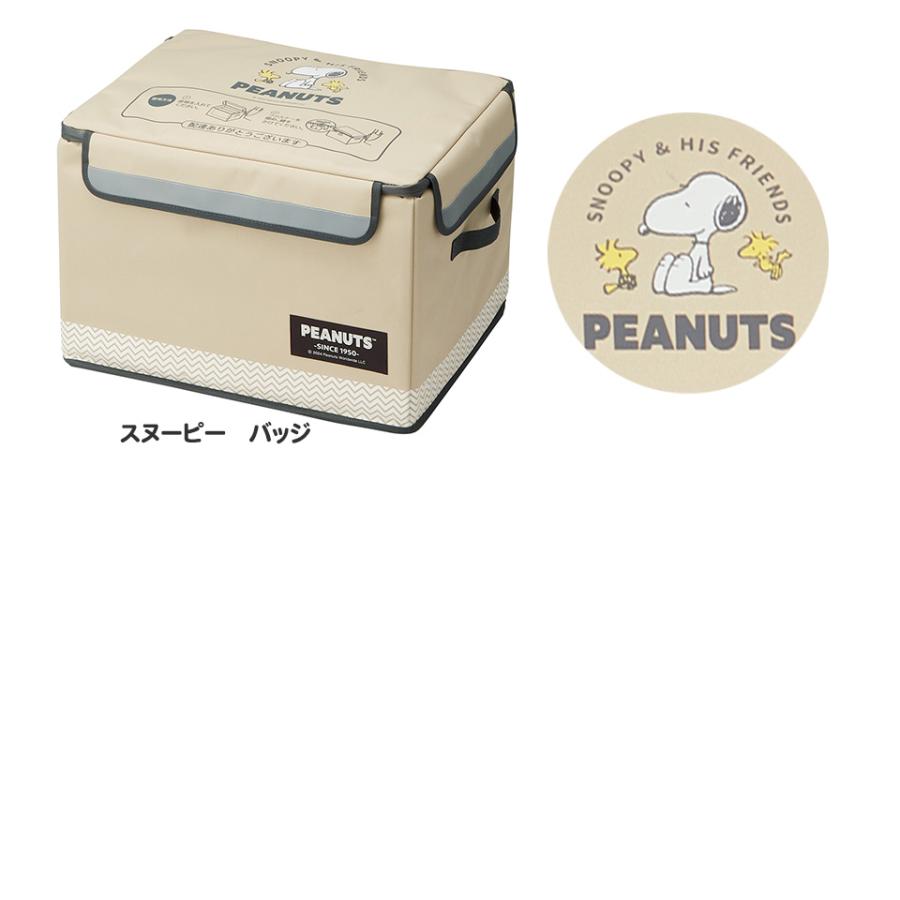 置き配 ボックス M 55L 留守 不在 荷物 配達 宅急便 宅配便 受け取り 便利 スケーター skater ZOKB1 スヌーピー トムとジェリー シナモロール 女性 レディース ...