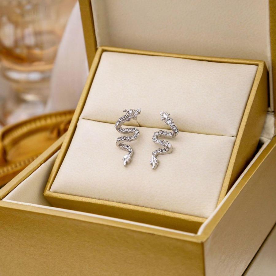 龍のピアス レディースピアス 竜ピアス S925 ドラゴンピアス : n4240 : さくらアクセサリーショップ - 通販 - Yahoo!ショッピング