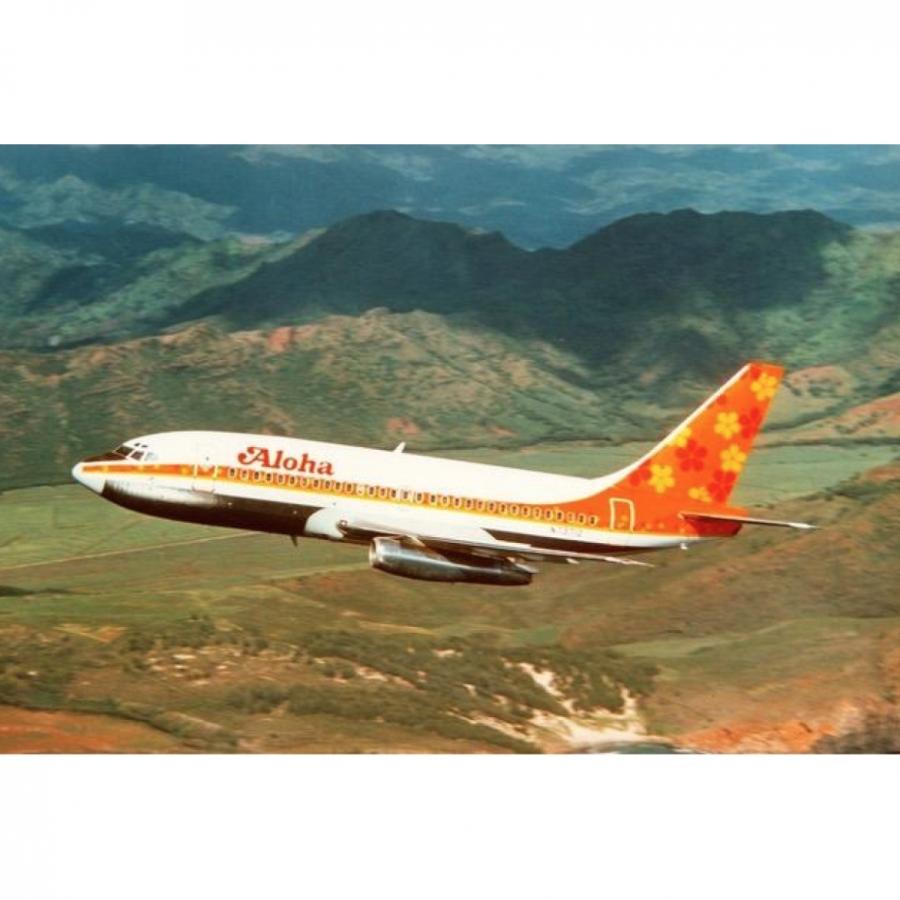 PLANETAGS B737 N823AL Aloha プレインタグス アロハ航空 機体キーホルダー ボーイング 飛行機 ギフト プレゼント ...