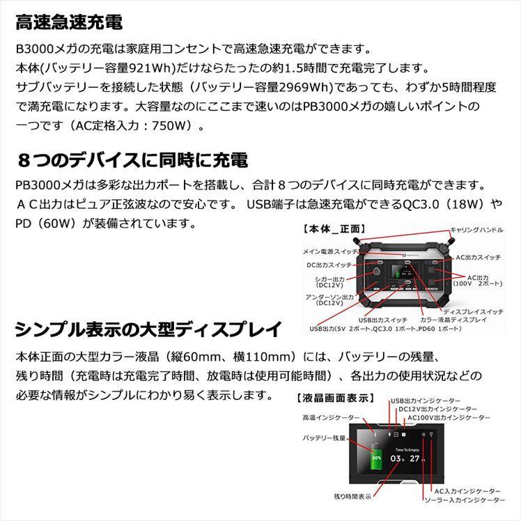 PB3000メガ プロテクタ PRO-TECTA VoltMagic ボルトマジック ポータブル電源本体+サブバッテリー (沖縄・離島 配送不可) : スカイドラゴンオートパーツストア ...