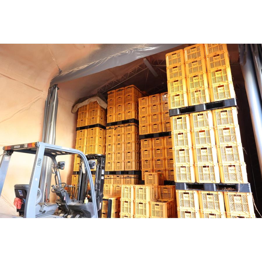 さつまいも 千葉県産 シルクスイート 約4kg 2S-Sサイズ混在土付き : スカイアースファーム - 通販 - Yahoo!ショッピング