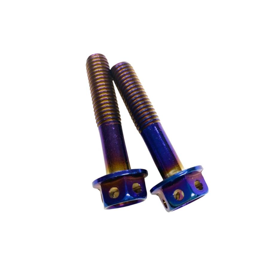 バイク用 ドレスアップ用ボルト M8 40mm 2個セット ステンレス製 チタンカラー フランジ付きエンジンボルト : SmartSmokers - 通販 - Yahoo!ショッピング
