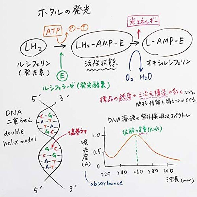 ぺんてる ホワイトボードマーカー ボードにフィット フィット芯太字 6色 EMWL5BF6ST :20240218025237-01319:Smaruko-store - 通販 - Yahoo ...