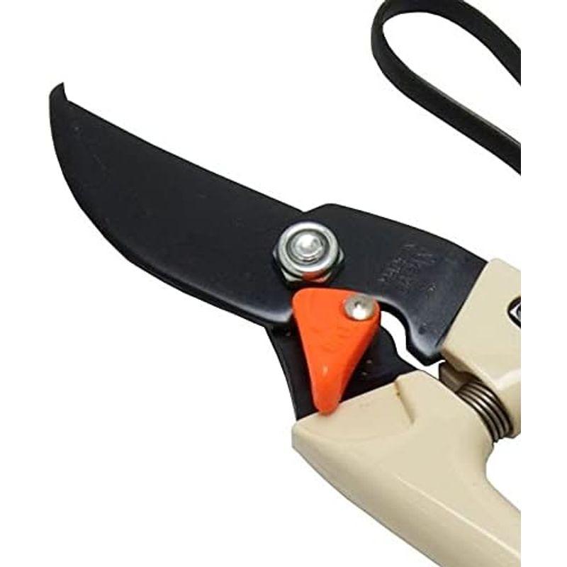 サボテン パワーパイントサイズ 剪定鋏 :20240218025237-02593:Smaruko-store - 通販 - Yahoo!ショッピング