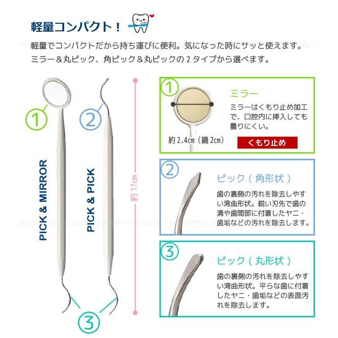 富士パックス販売 はいしゃくん 「普通郵便送料無料」/ 歯石屋くん