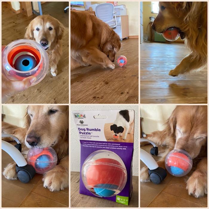 知育玩具ドッグランブルパズル---OUTWARD HOUND Dog Rumble Puzzle Ball & Treat Maze ...