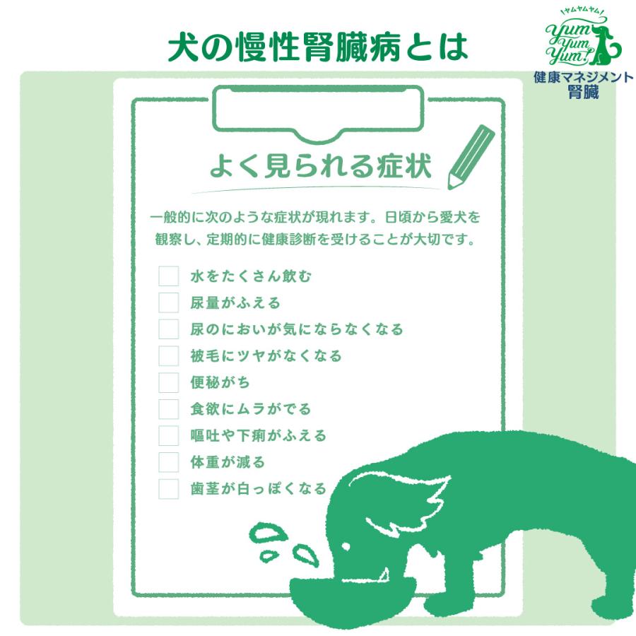 ヤムヤムヤム 健康マネジメント 腎臓 ドライタイプ 1.3kg 3袋セット 犬用 ドッグフード ぺットフード 国産 無添加 成犬 シニア犬 老犬 子犬 パピー Yum : SMILELIFE ...