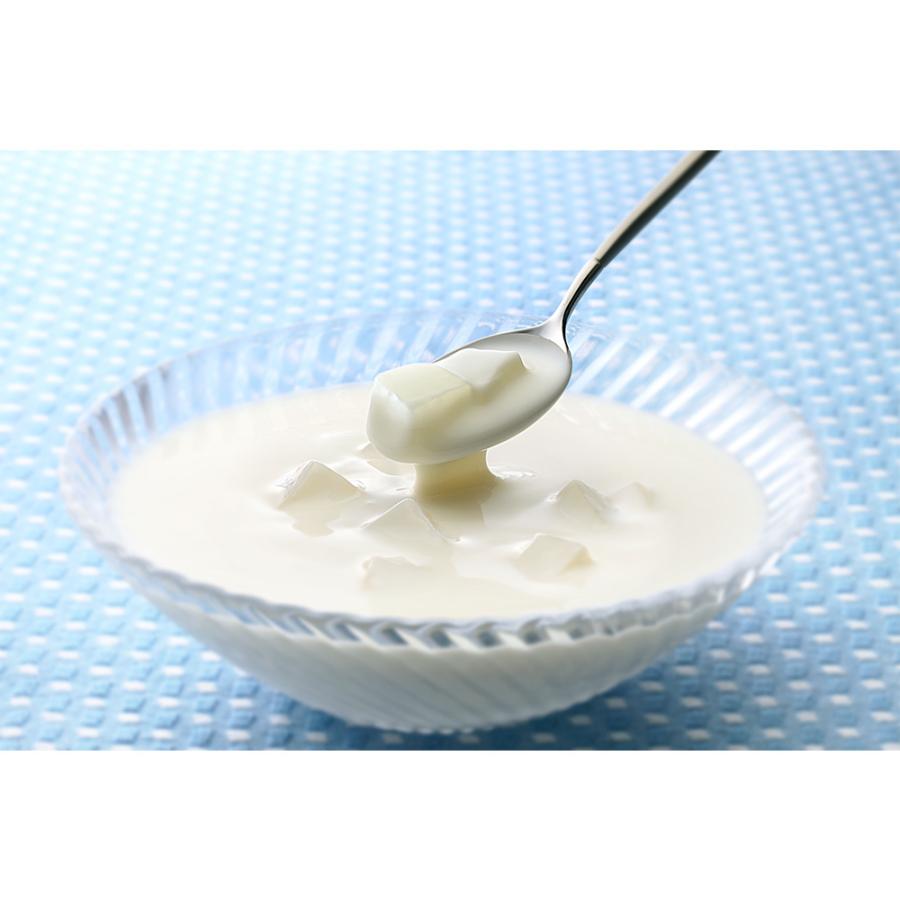 業務用 国内産ナタデココ 500g :0534723:Smile Spoon - 通販 - Yahoo!ショッピング