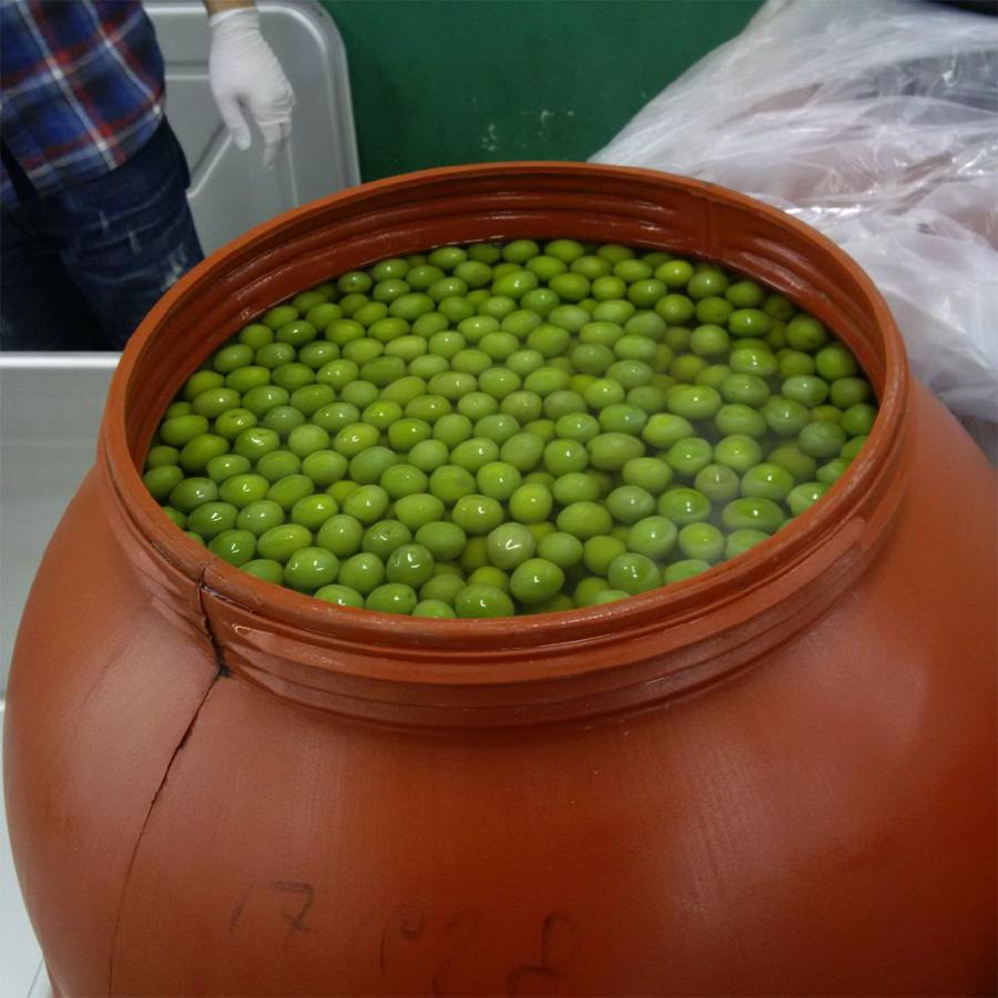 Shelley's [冷蔵]シェリーズ オリーブの実 60g×12個 : Smile Spoon - 通販 - Yahoo!ショッピング