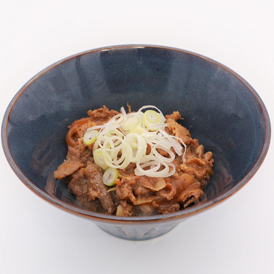 すき家 [冷凍食品] 豚生姜焼き丼の具 2袋入 170g : Smile Spoon - 通販 - Yahoo!ショッピング