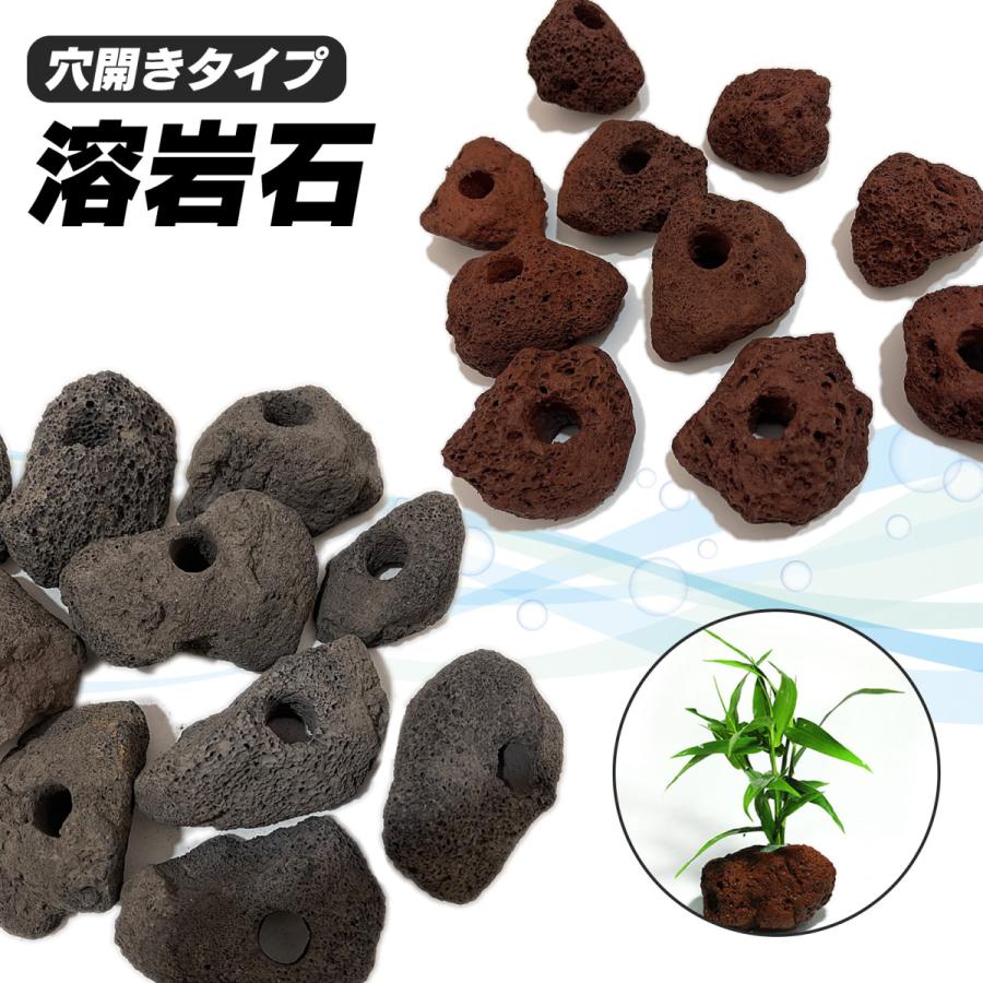 SーNET 水槽 レイアウト 石 溶岩石 穴あき 水草固定用 SN-299-AY : s-netshop pro - 通販 - Yahoo!ショッピング